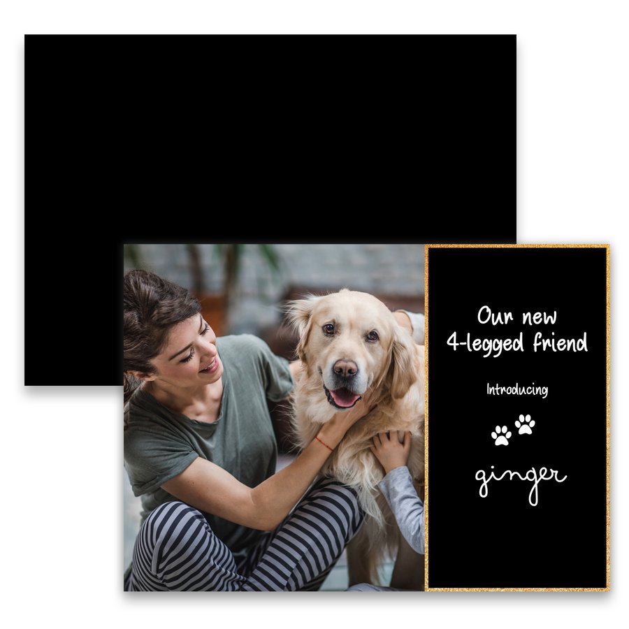 Golden Paws Card | Cards & Stationery | Sam's Club Photos ...